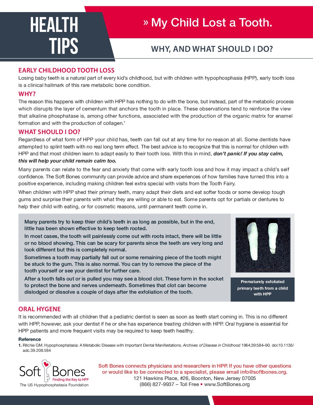 My Child Lost a Tooth – Soft Bones