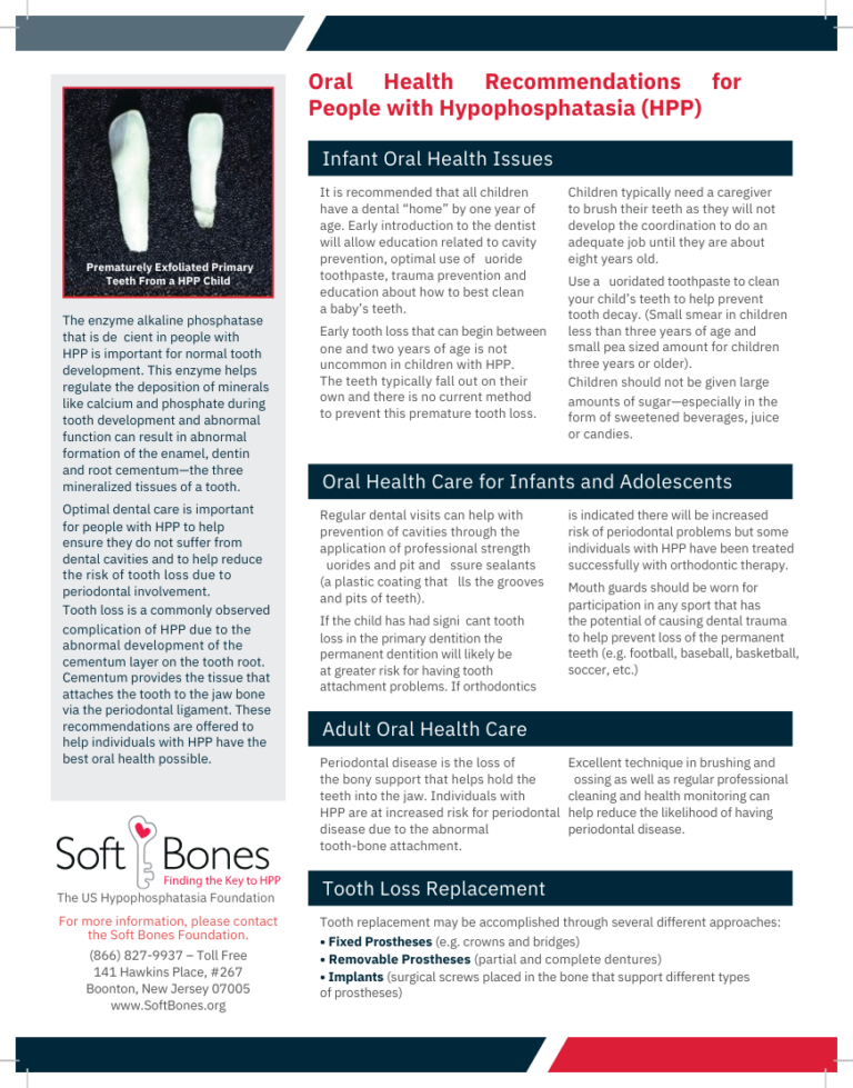 Dental Health Overview – Soft Bones