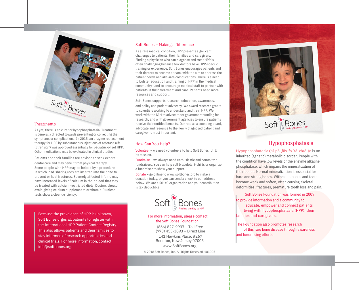 General HPP Brochure – Soft Bones