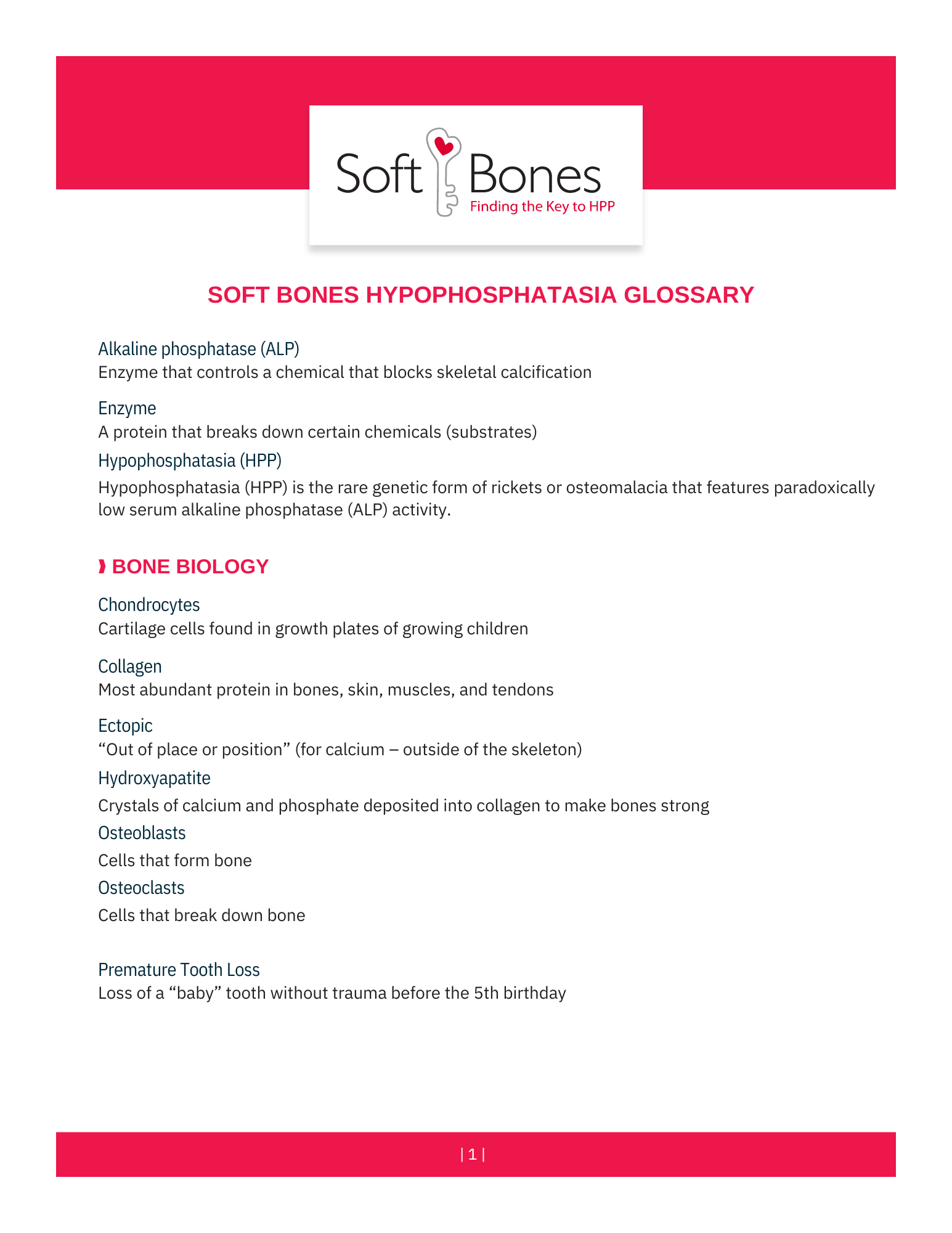 HPP Glossary of Terms – Soft Bones