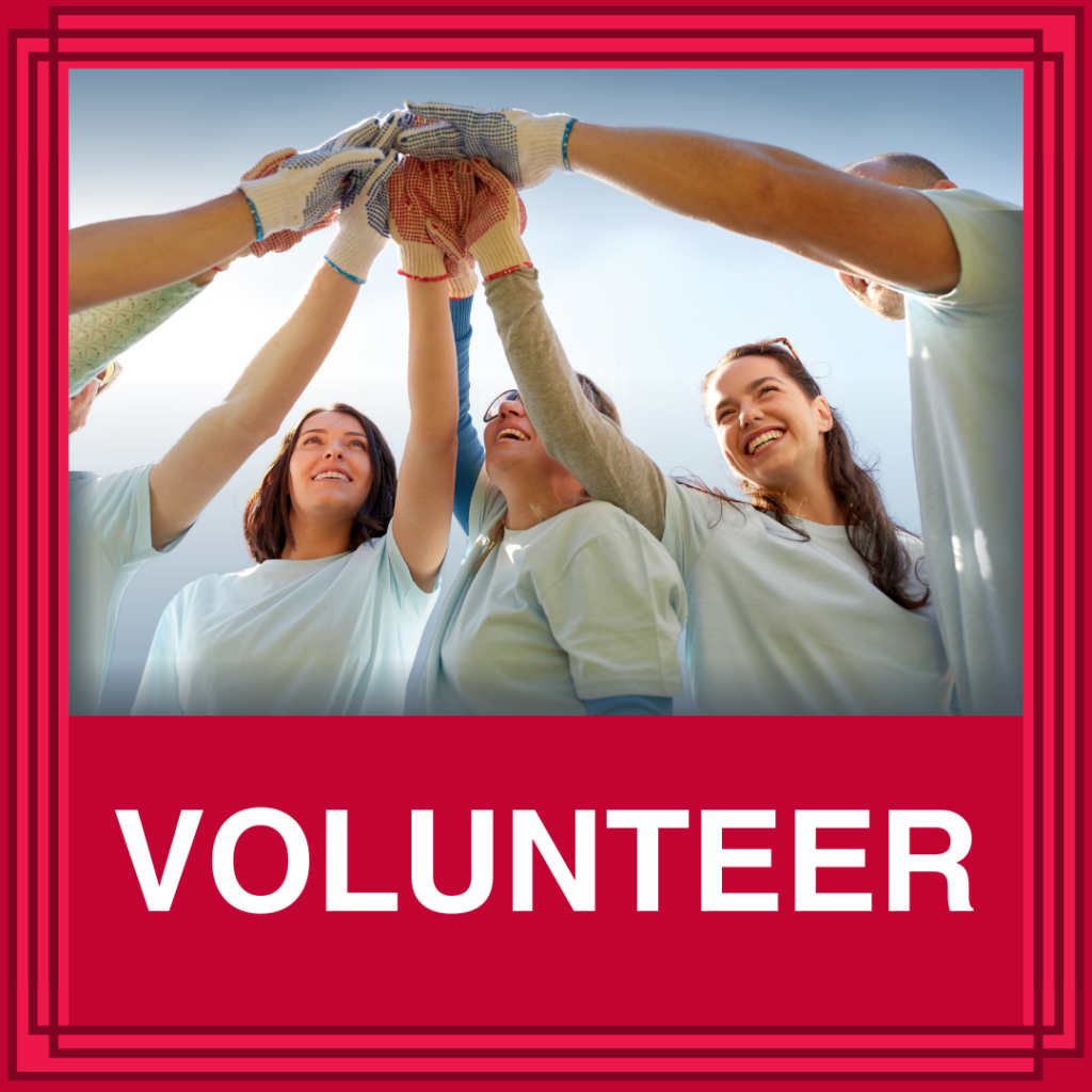Volunteer Interest Form – Soft Bones