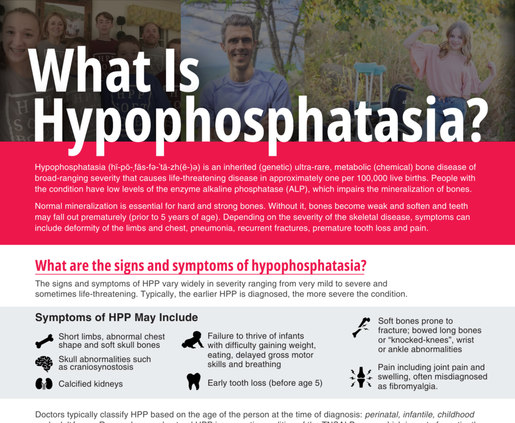 HPP One Pager – Soft Bones